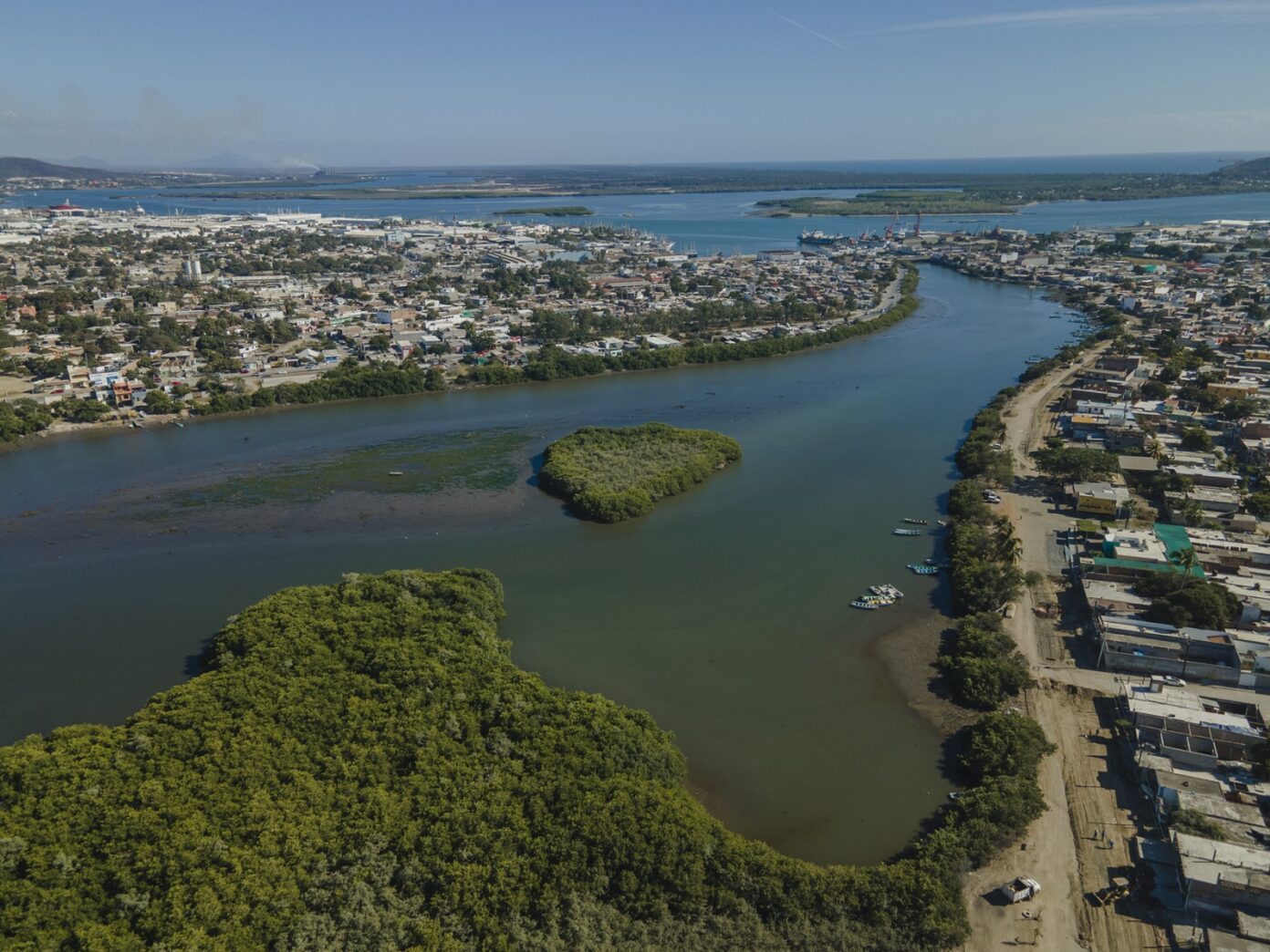 UNAM study damages due to loss of mangrove in Mazatlan's El Infiernillo ...